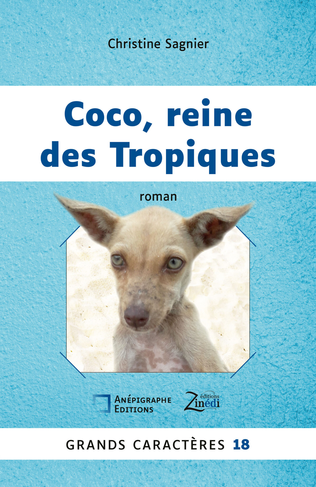 Coco, reine des tropiques - Christine Sagnier - Livre en grands caractères